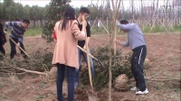 阜阳市审计局“关爱自然,义务植树”志愿服务活动20150330