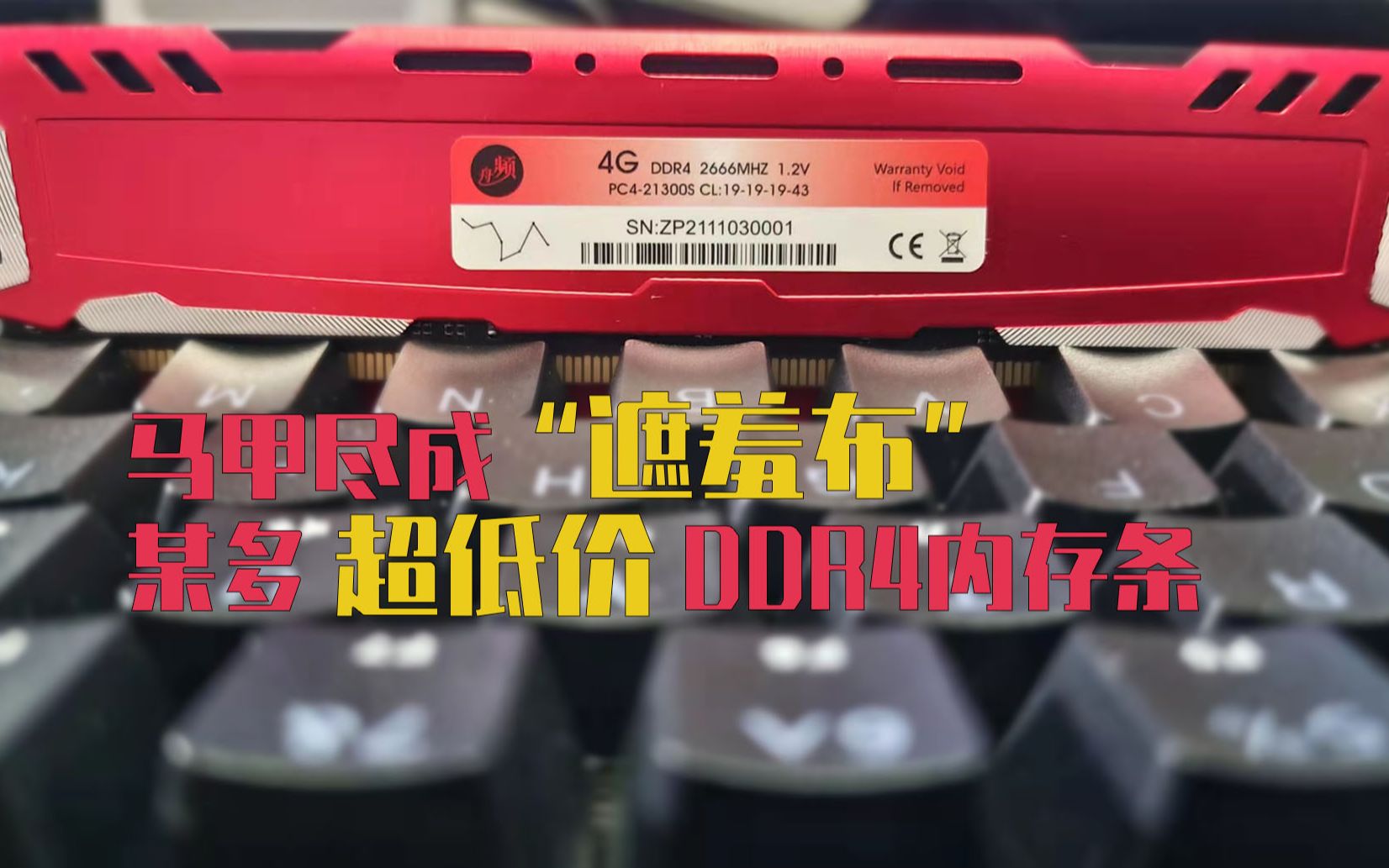 马甲变成“遮羞布”!某多超低价 DDR4 内存条!