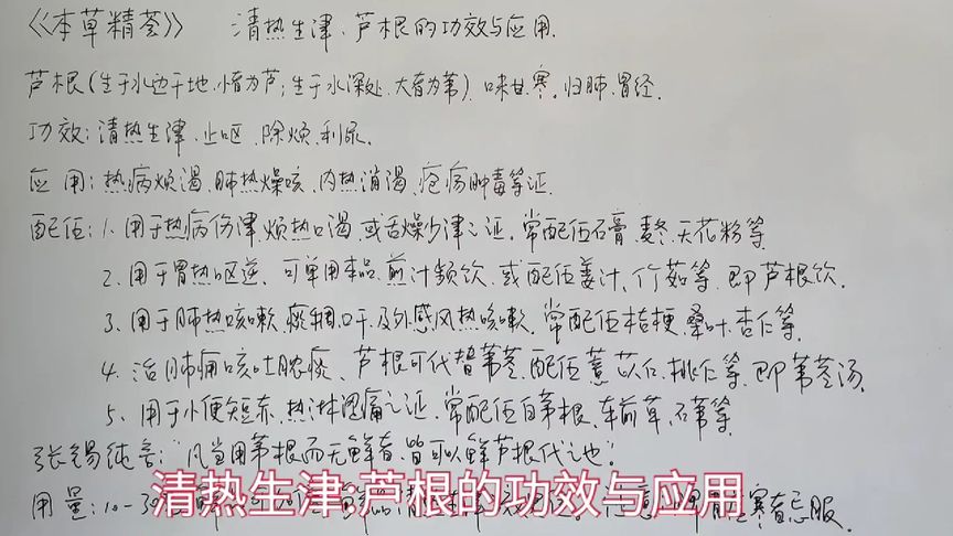 清热生津:芦根的功效与应用