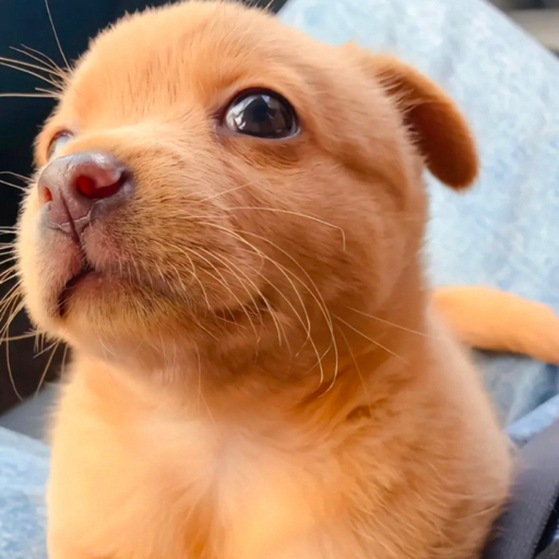 数学加油站冲冲冲 