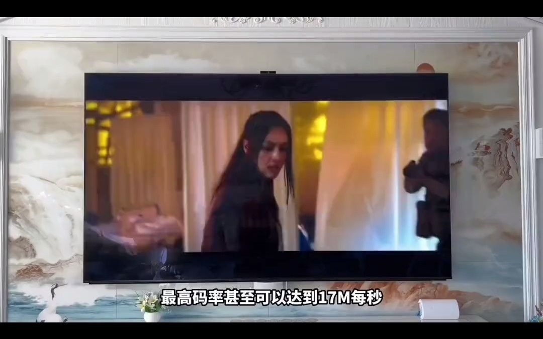 ...的片源就是不行,看这奈飞4k高清的画质#netflix #追剧app #奈飞 #电影