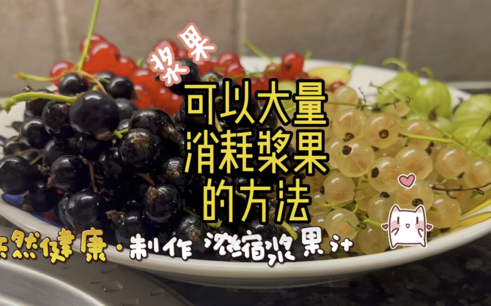 像宝石一样的浆果做成的果汁,你想尝一尝吗?制作浓缩浆果汁!