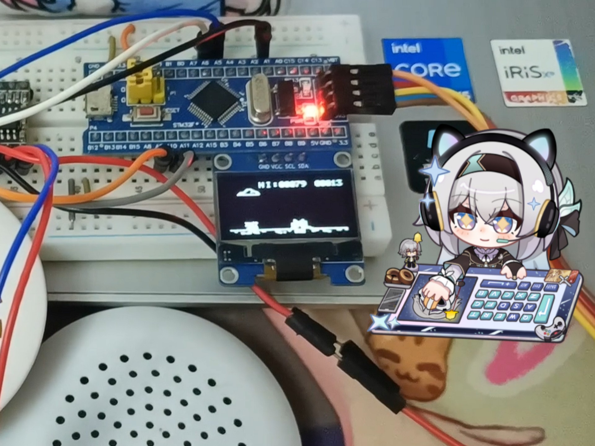 【代码分享】 stm32小游戏-小雪狐快跑(基于江科大模板)