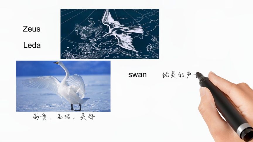 英语单词背后的文化,swan song有关天鹅之绝唱,轻松学英语