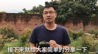 多肉植物“观音莲”,“紫牡丹”,“铁观音”,组盆栽种非常适合