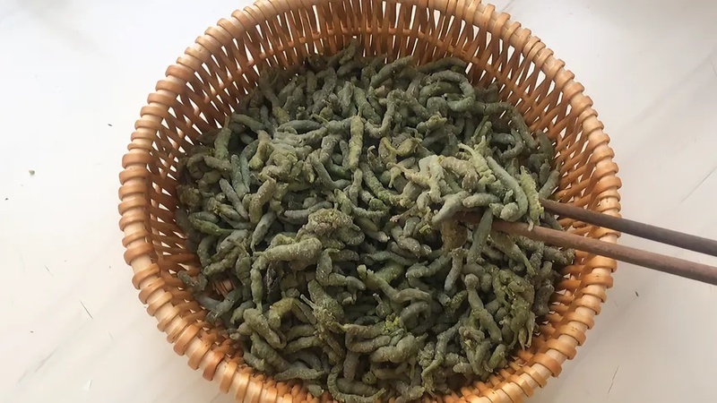 时令野菜构树穗,蒸一蒸吃不够,可惜采摘时间太短,错过等明年