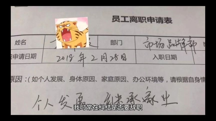 辞职后的迷茫,这一刻烟消云散