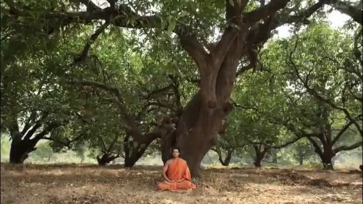 佛祖修行时在菩提树下的禅定境界