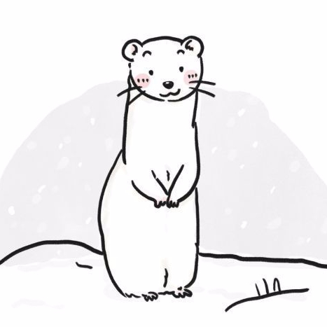 雪鼬游戏 