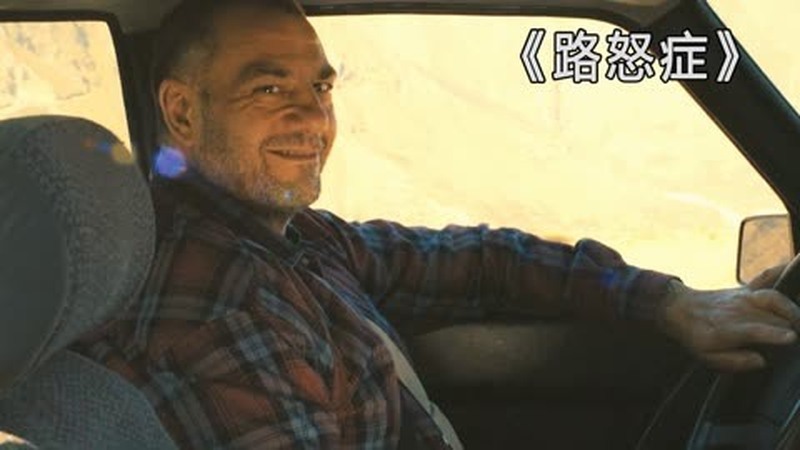 一场由路怒症引发的惨案,结局令人意想不到