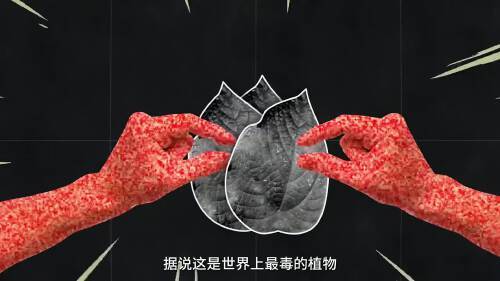 世界上最毒的五种植物,超乎你的想象?