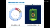 3-1染色体遗传效应的具体表现形式——有丝分裂中染色体和DNA的...