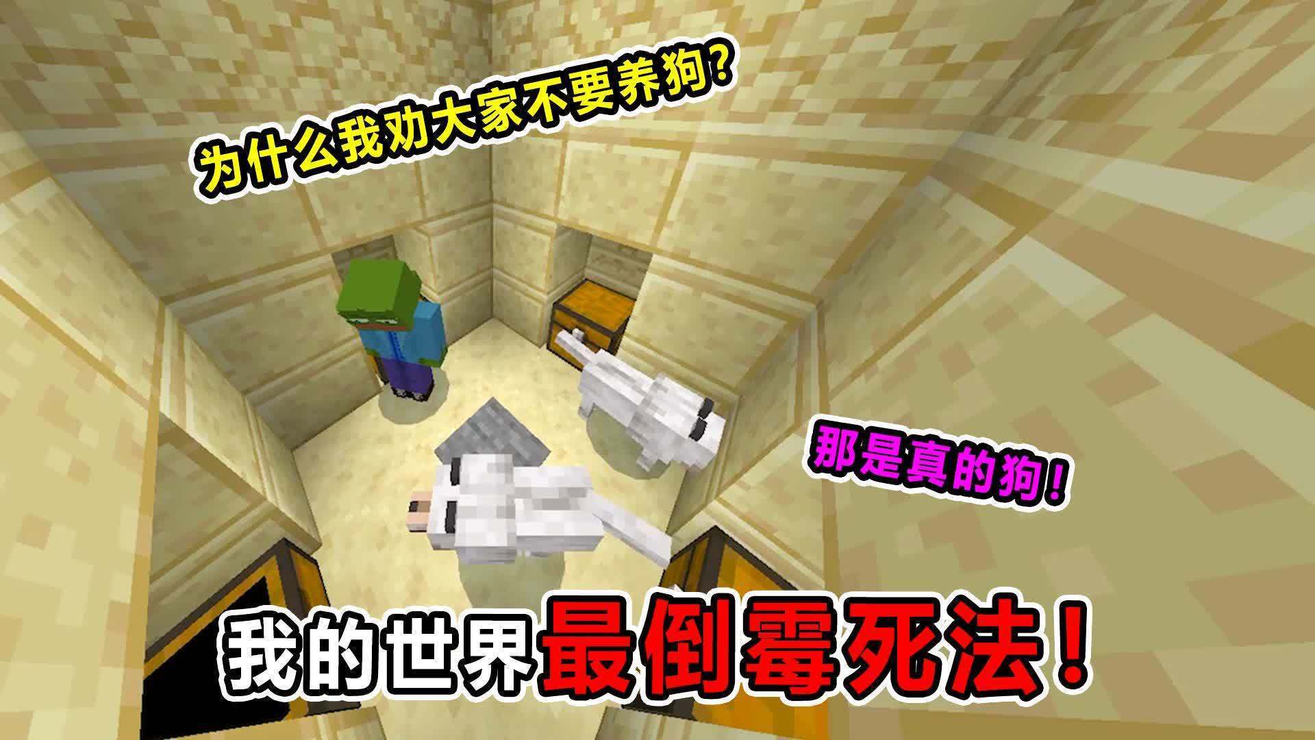 MC有史以来最倒霉的死法!进沙漠神殿千万别养狗!否则.