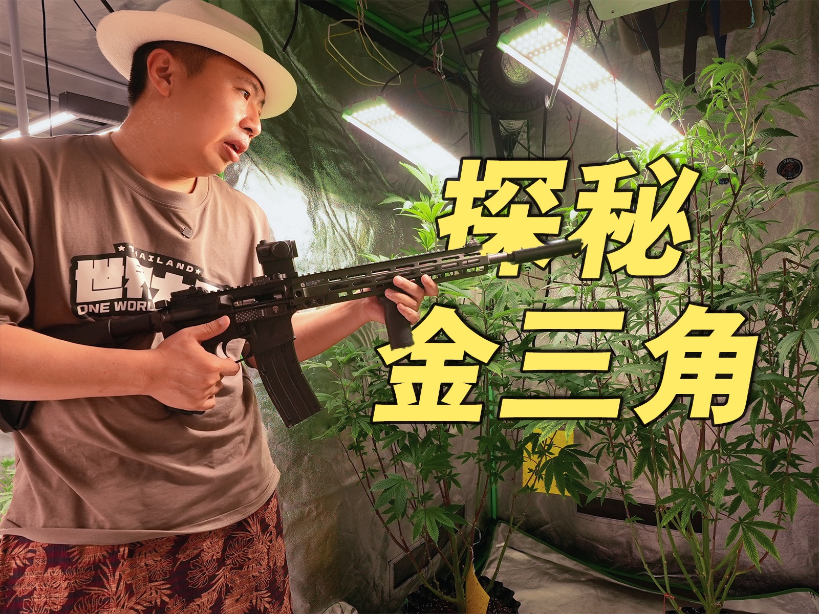 “大麻合法化”2年后,金三角现在什么样?【南洋大宝荐:泰国01】