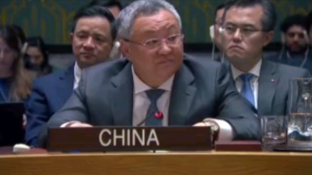 傅聪联合国首秀演讲:美国用强盗逻辑,否决了巴勒斯坦的梦想