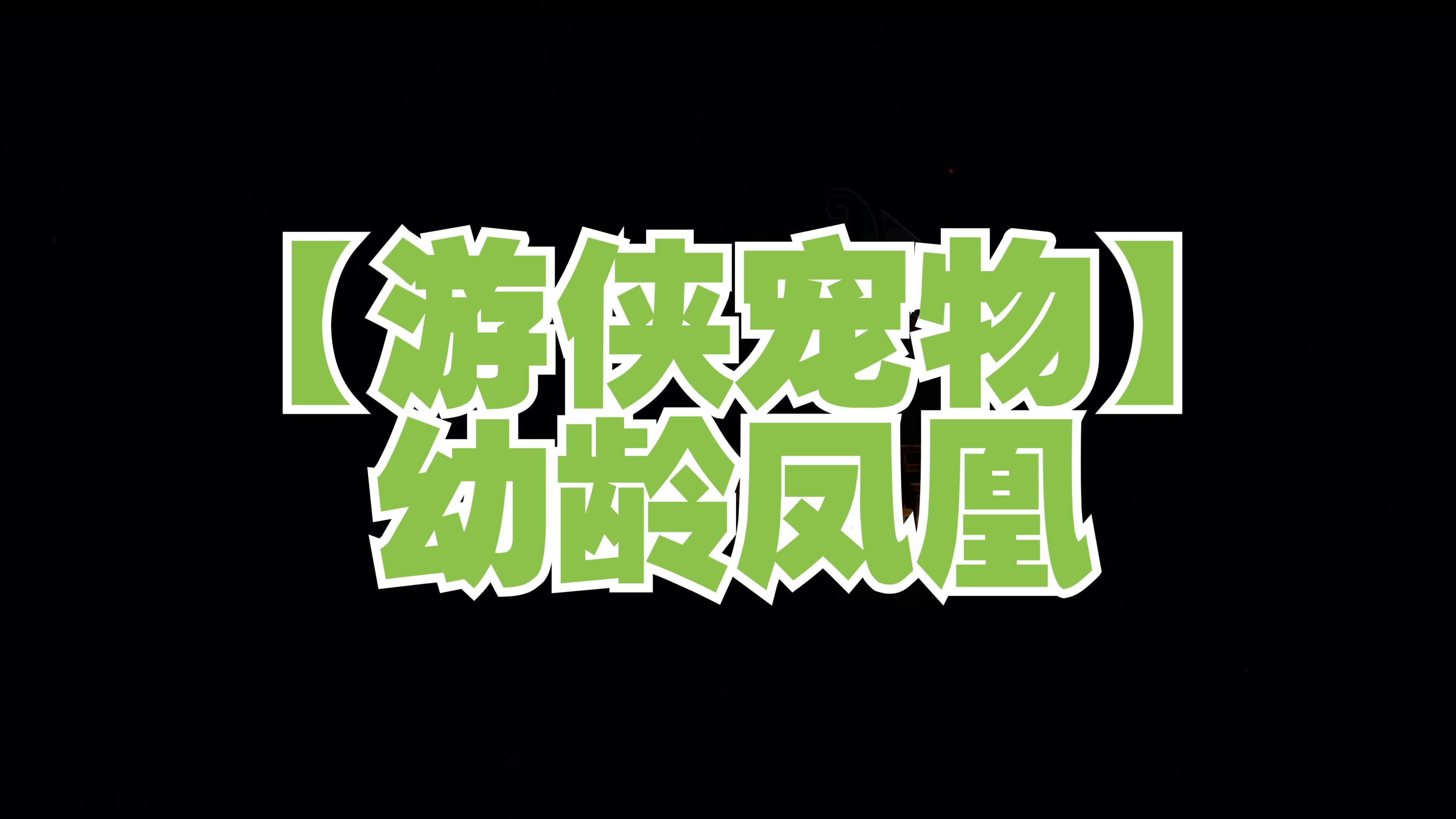 激战2金昆【游侠宠物】幼龄凤凰_激战2_第一视角