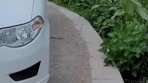 这就是导航的不稳定性,跟着导航的指示在行驶,结果我开到了这里!