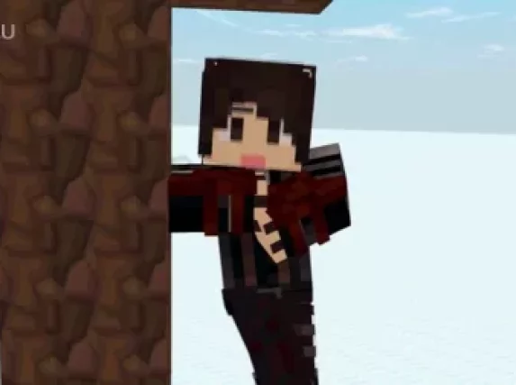 【我的世界】【Minecraft】鬼鬼蝈蝈找回正版密码与修改密码