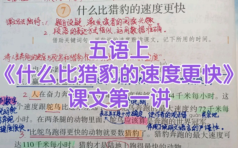 五语上:7《什么比猎豹的速度更快》 课文第一讲