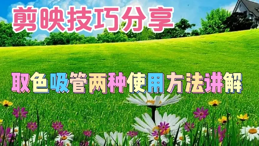 剪映取色吸管功能两种使用方法讲解,帮助你正确使用吸管功能