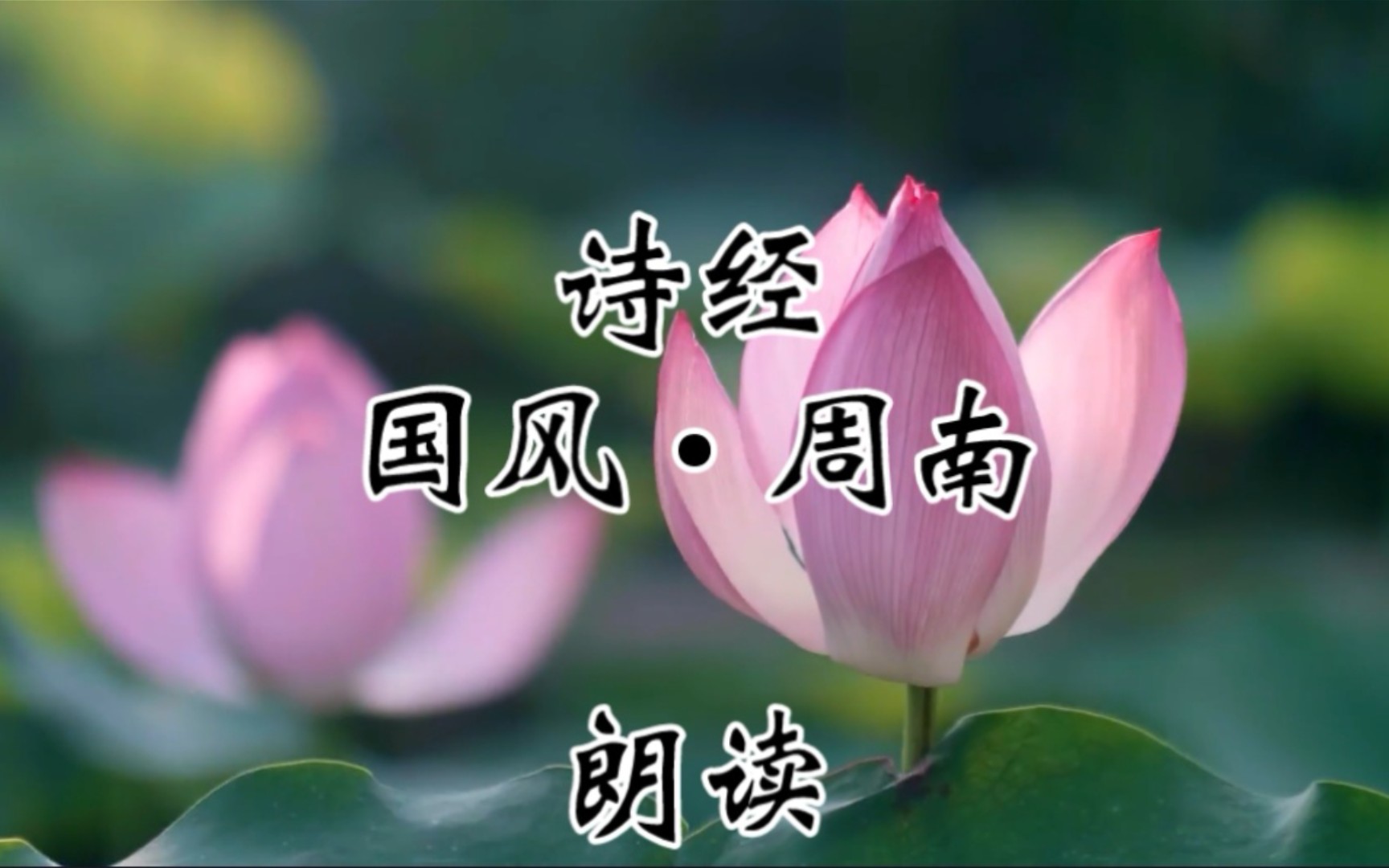 《诗经》国风•周南-樛木 朗读