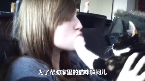 主人害怕猫咪无聊,做了个打地鼠机,结果猫咪玩嗨了!