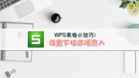WPS表格小技巧:设置下拉选项录入
