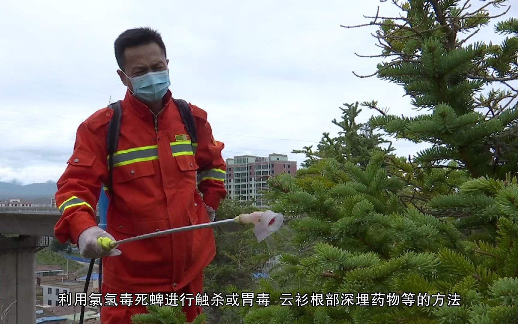 4.武威市林草局:砥砺初心展本色 甘做绿色守护者——天祝藏族自治县...