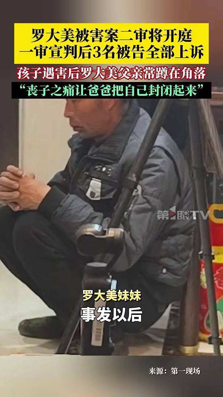 ...反串网红罗大美被害案二审将在南阳市中级人民法院开庭审理。一审...