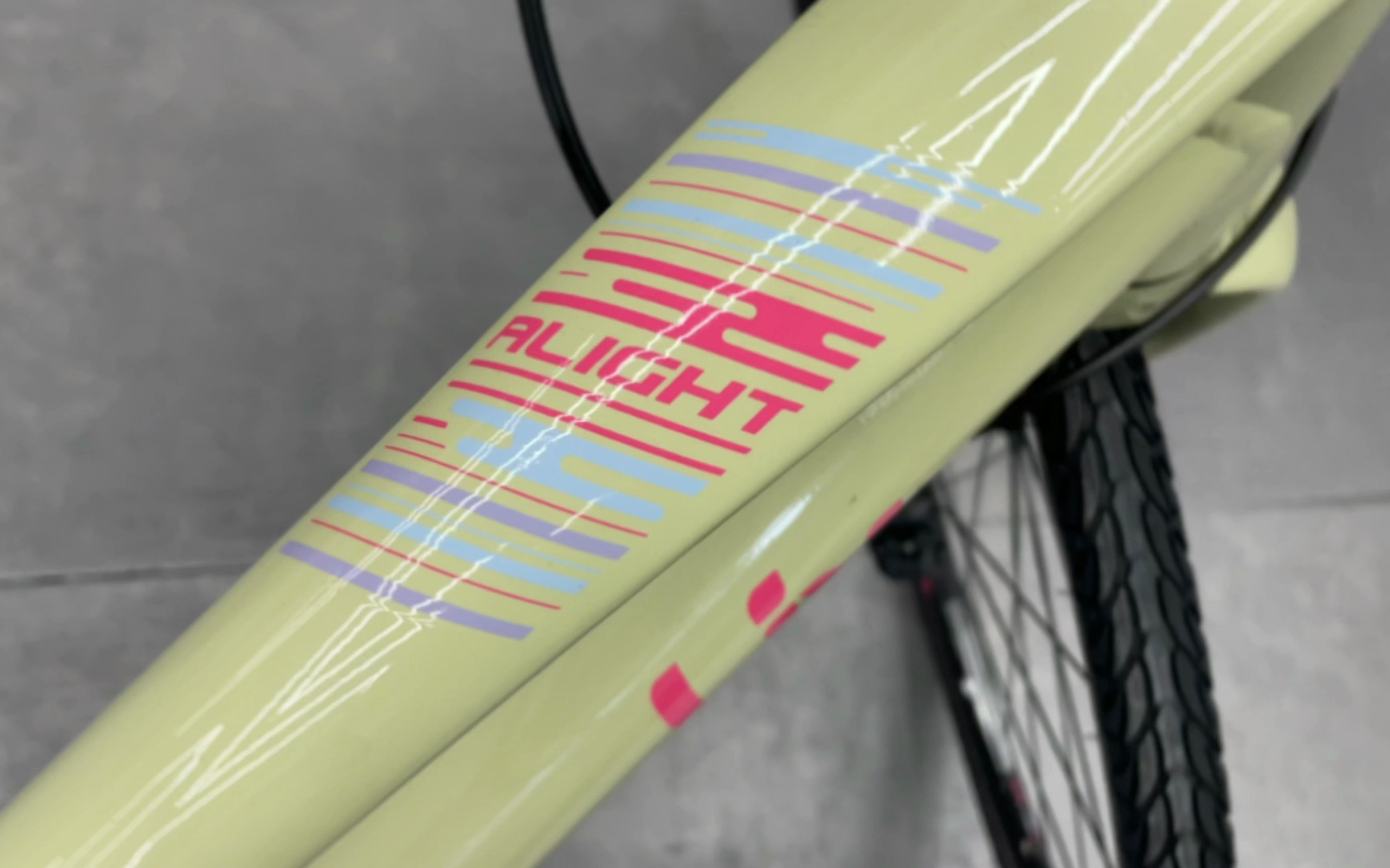 【捷安特】- Liv女生的单车:Alight 1(平把公路车)