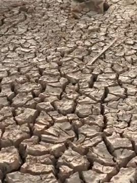 今明两年可能成为历史最热年份,极端高温洪水和干旱风险增加