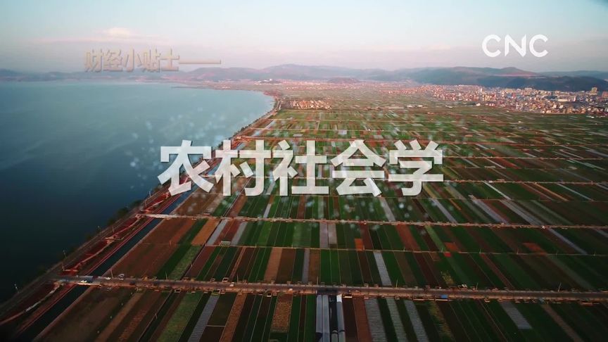 财经小贴士——农村社会学