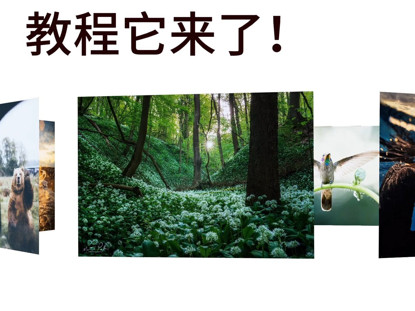 3D图片旋转PPT教程来了,干货满满