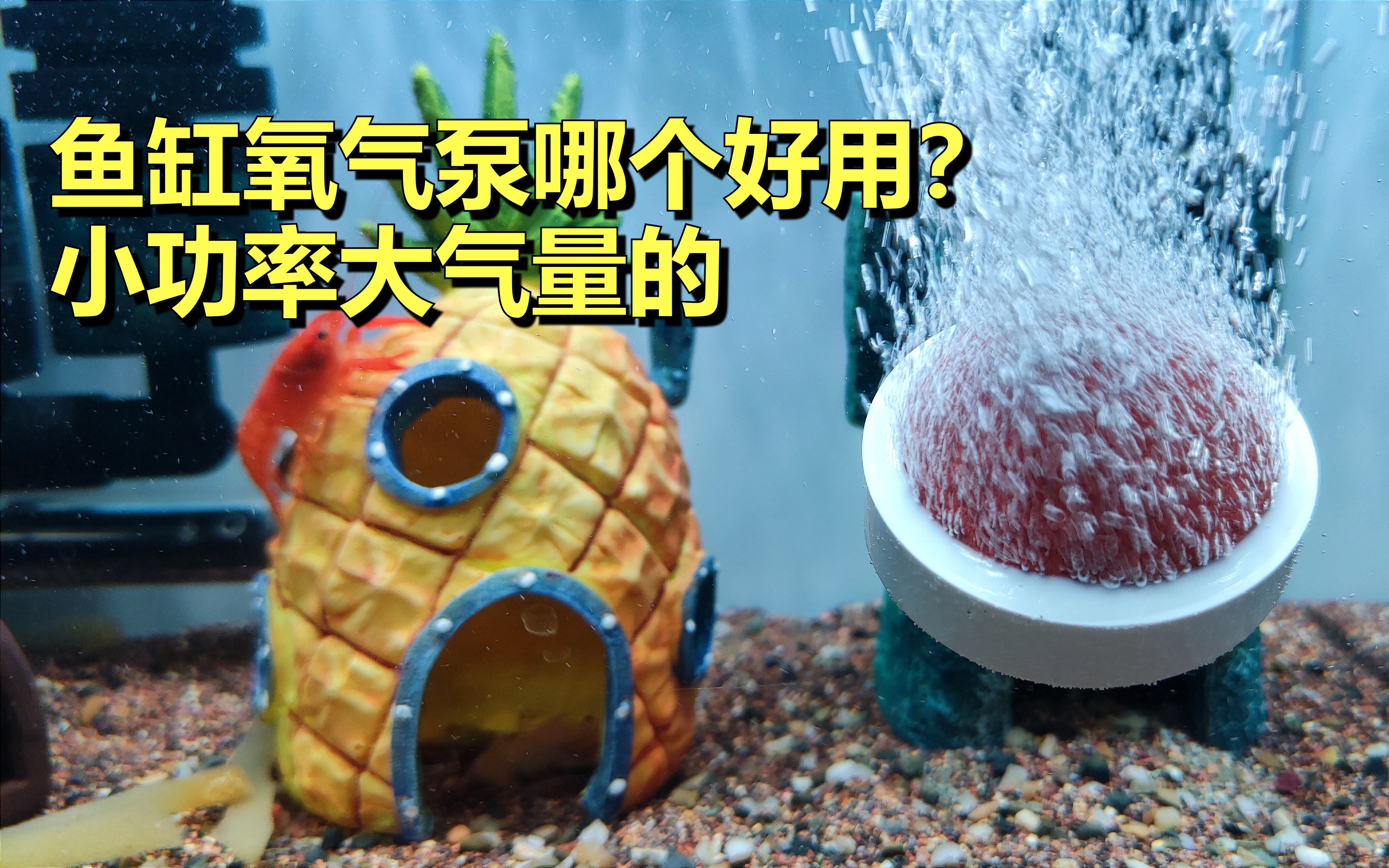 哪个牌子鱼缸氧气泵比较好用?当然得是小功率大气量的