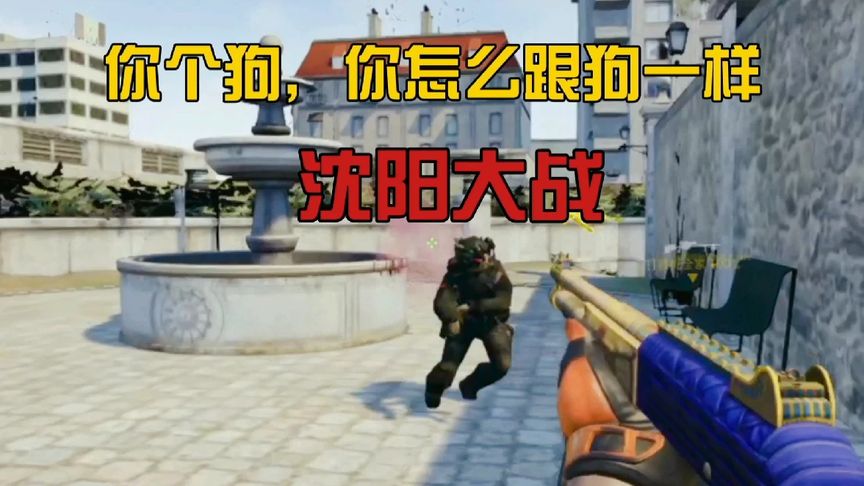 CSGOM 沈阳大战 你个狗,你怎么跟狗一样?