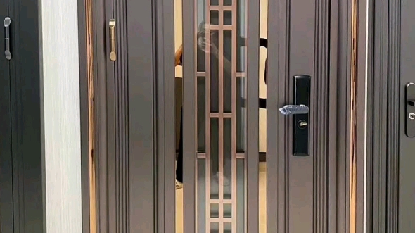 韩式门工厂304不锈钢防盗门爱林堡进户门推拉门中门通风透光平开门...