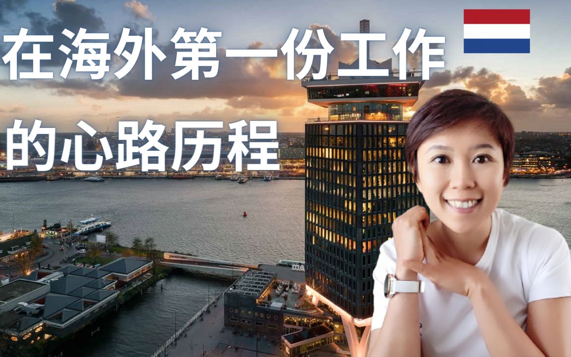 荷兰 | 第一份工作的心路历程 | 我的求职过程 | 完全可以用惨烈来形容