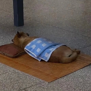 秋love豪 