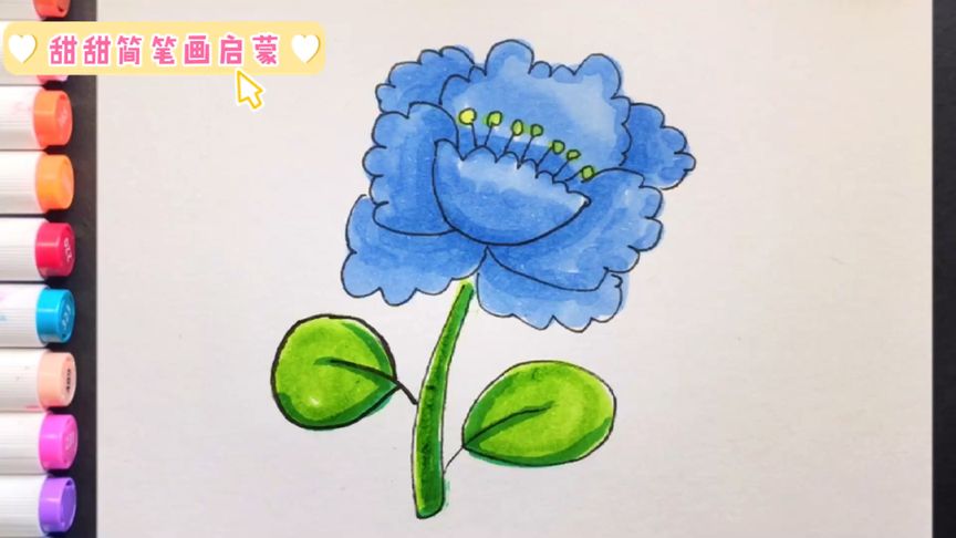 儿童趣味简笔画入门,画紫罗兰颜色的牡丹花,简单易学