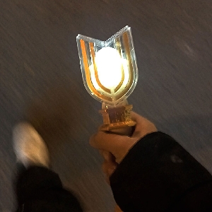 李-菠萝 