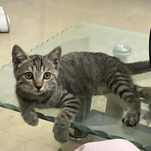 自然选择号_舰长 