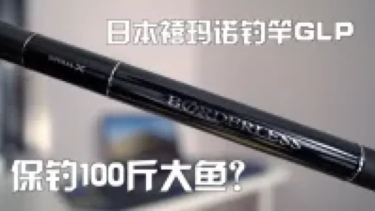 日本钓竿宣称能钓100斤大鱼,噱头还是真货?——博大师GLP钓竿测评