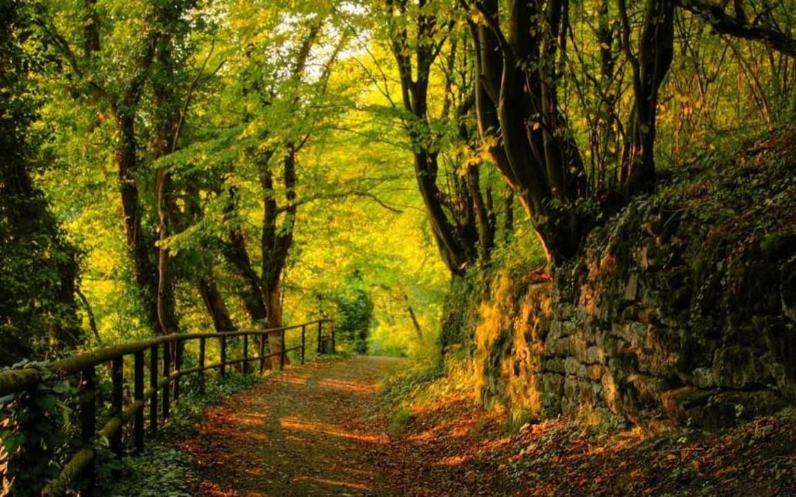 淘宝开店详细教程视频店铺怎么上架宝贝