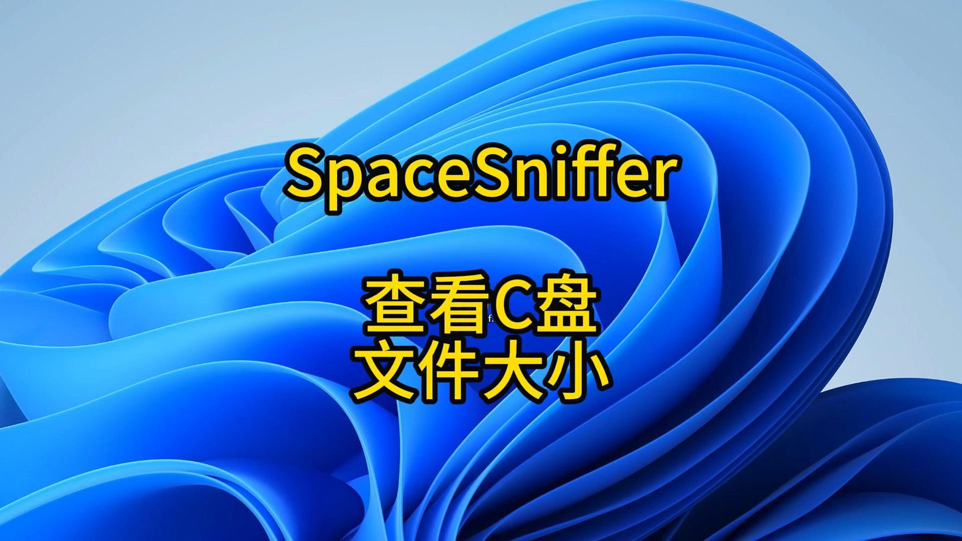 SpaceSniffer-查看C盘文件大小