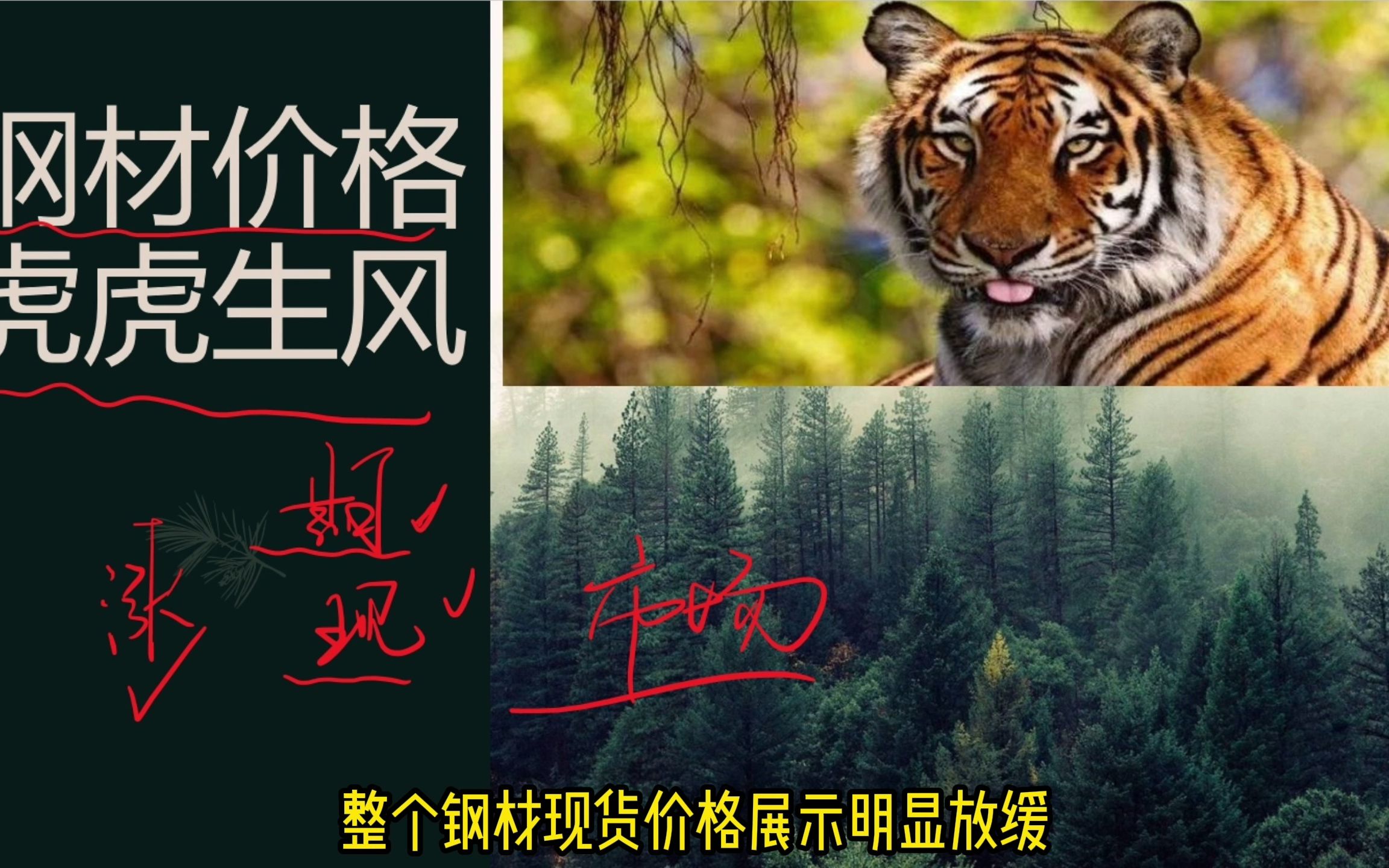 钢材价格虎年开局涨价如何看?