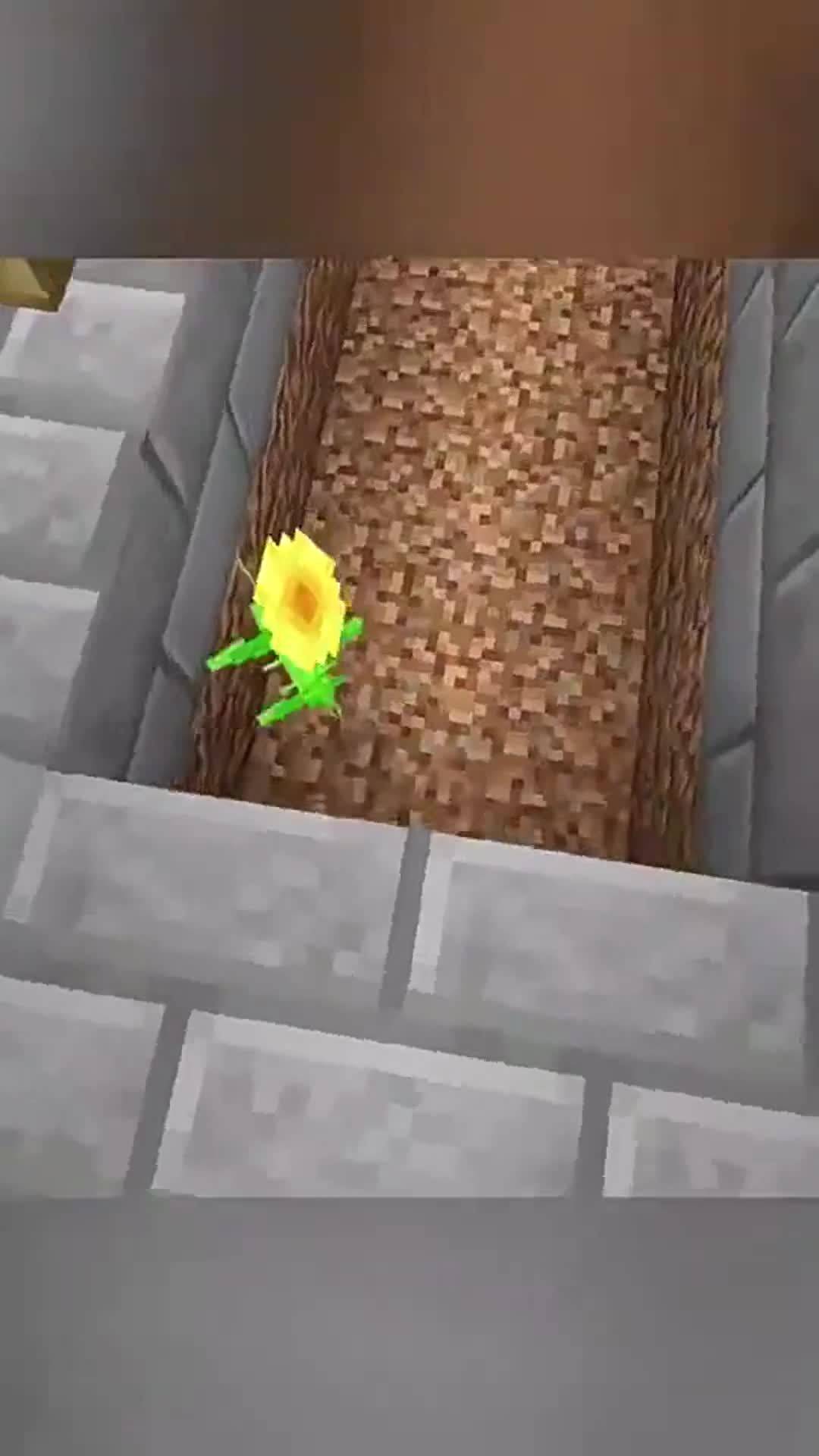 僵尸旋转小陷阱!#我的世界