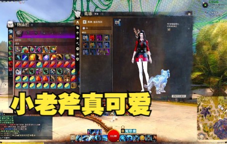 ...这个玩家现在才开箱出货,这次更新的迷你宠物真可爱_激战2_游戏杂谈