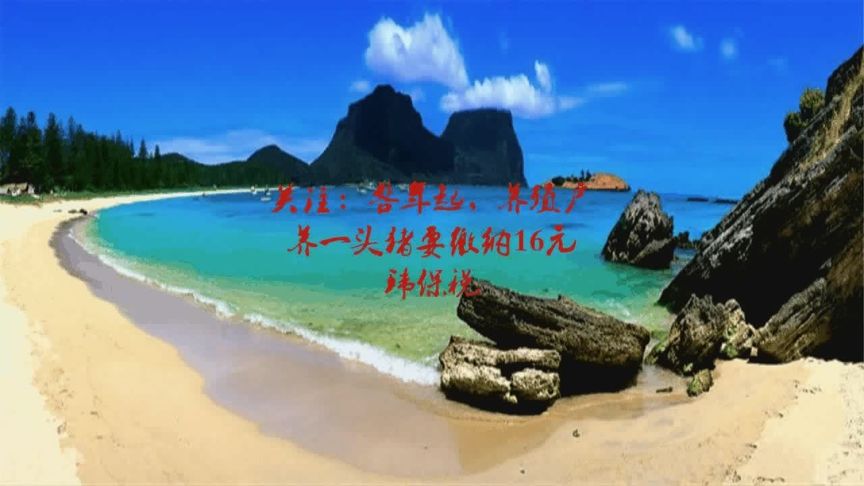 关注:明年起,养殖户养一头猪要缴纳16元环保税