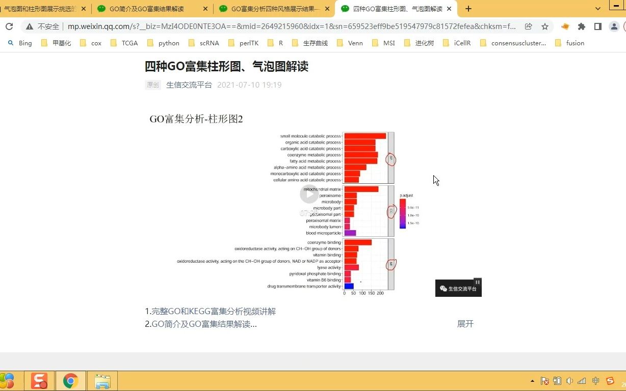 如何挑选感兴趣的GO条目进行展示