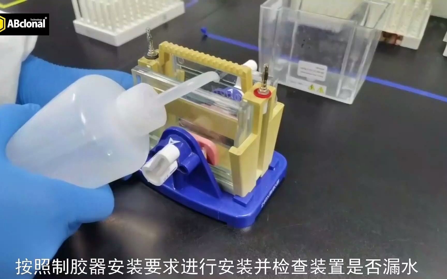 ABclonal WB实验操作教学视频